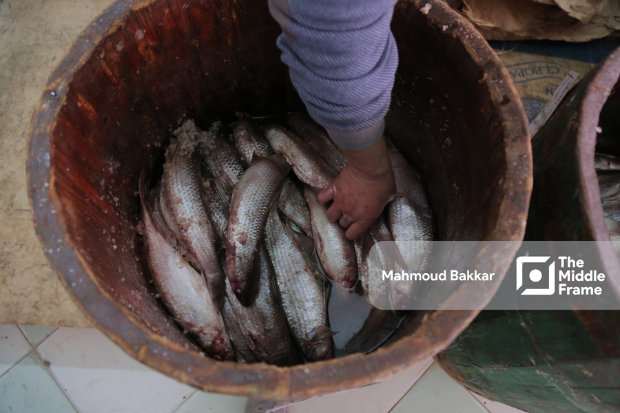 Feseekh industry in the city of Nabarwa, Dakahlia • The Middle Frame ...