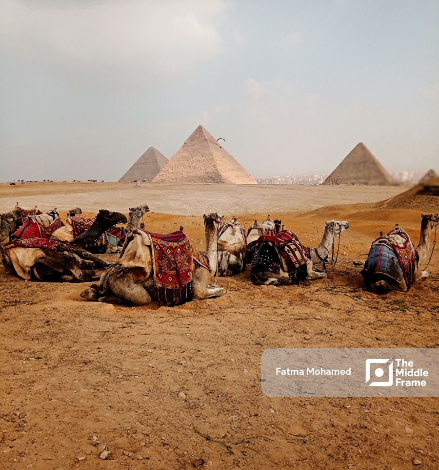 Giza Pyramids • The Middle Frame • Arab Stock Photos and Images