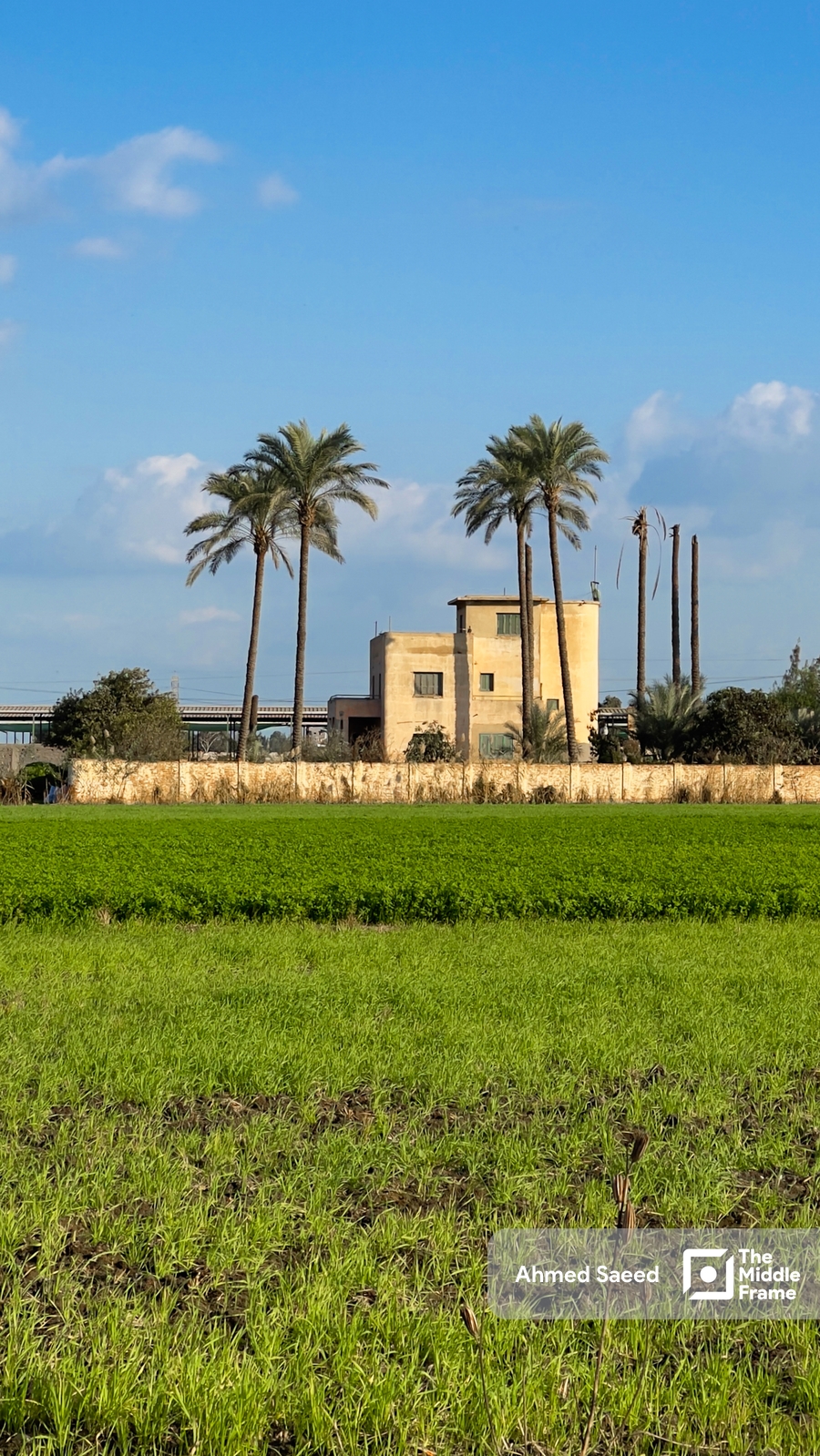 grass field • The Middle Frame • GenAI for Images, Licensed Datasets ...