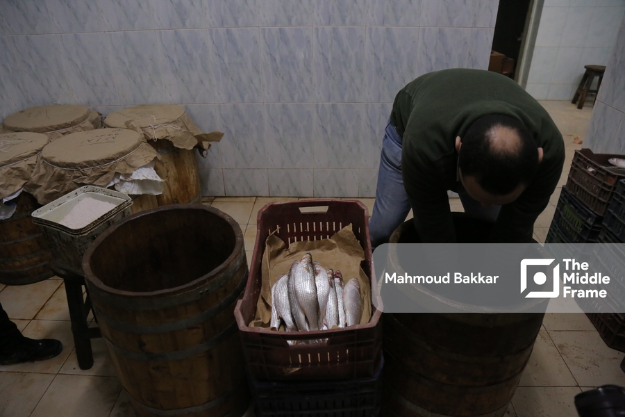 Feseekh industry in the city of Nabarwa, Dakahlia • The Middle Frame ...
