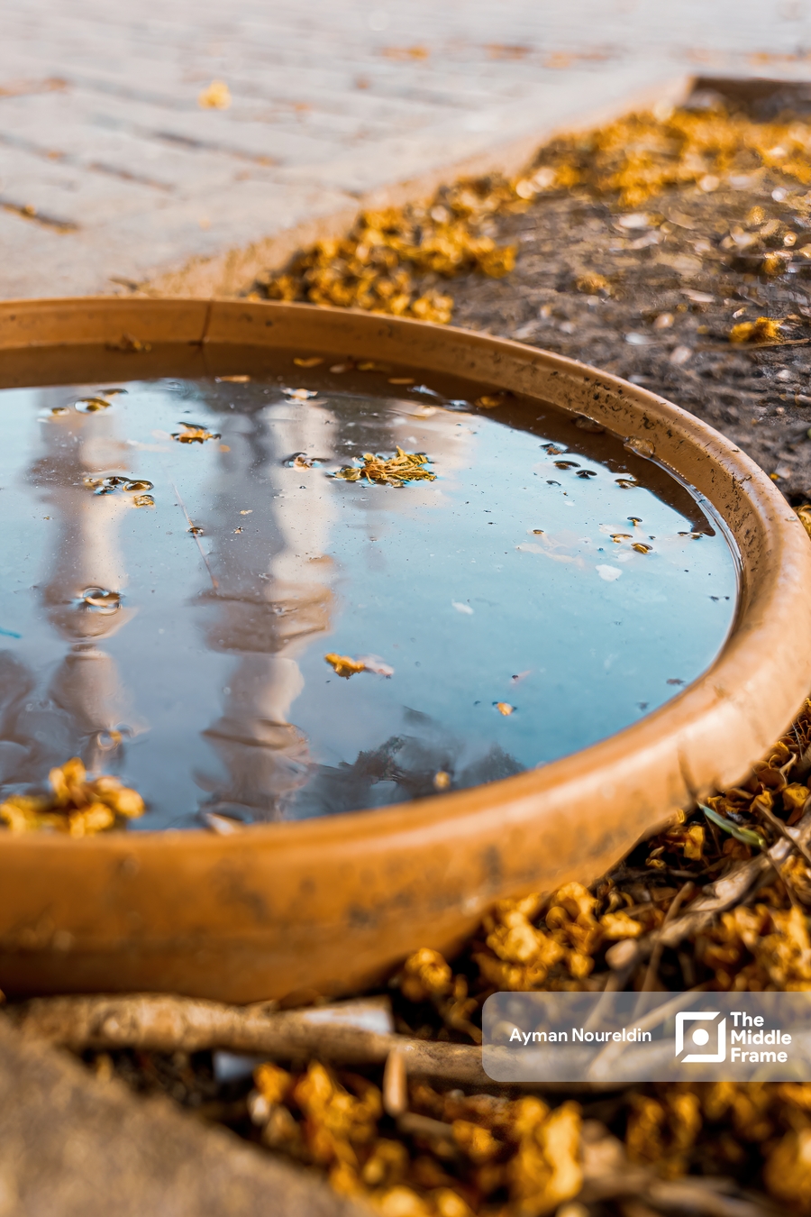 A pot filled with rain water • The Middle Frame • GenAI for Images ...