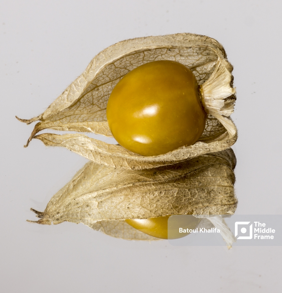 Egyptian Fruit Harankash. • The Middle Frame • Arab Stock Photos and Images