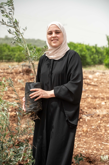 Farmer from Flamiya village in Qalqilya District West Bank-Palestine ...