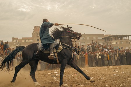 Mermah Celebrations of “Mawlid Sidi al-Qenawi" • The Middle Frame ...