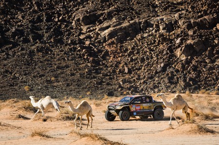 DAKAR 2024 - STAGE 11 • The Middle Frame • Arab Stock Photos and Images